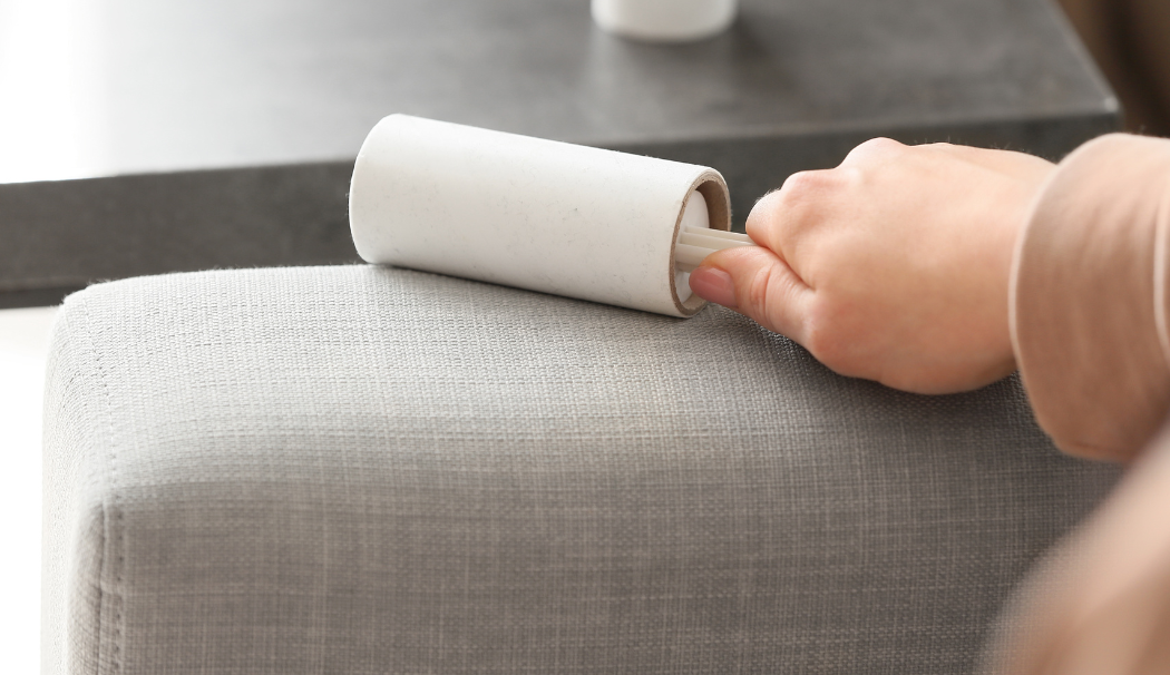 The Essential Guide to Pet-Proofing Your Couch