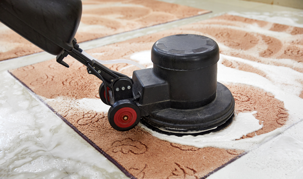 Rug Cleaning Guide: Easy Tips & Techniques