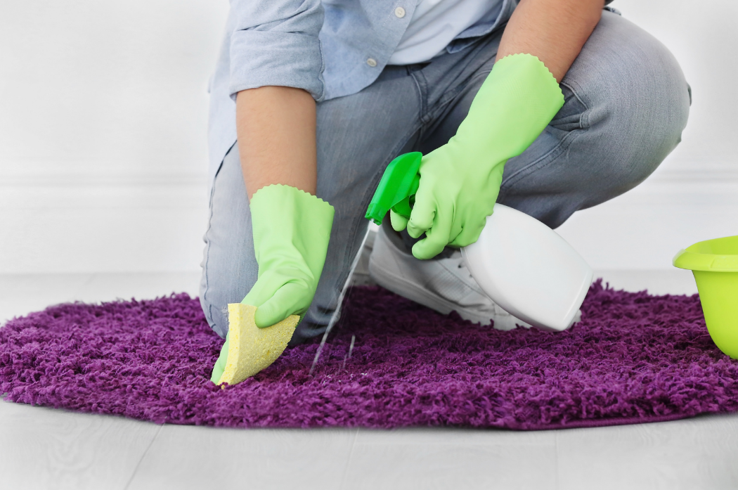 Rug Cleaning Guide: Easy Tips & Techniques