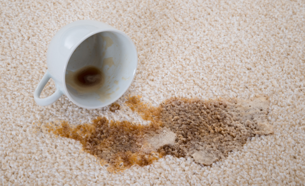 Rug Cleaning Guide: Easy Tips & Techniques